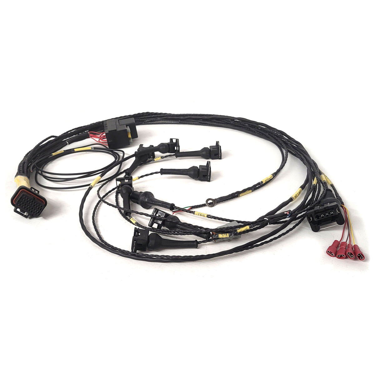 DTAFast T2 Standard Loom – C Bradley Motorsport